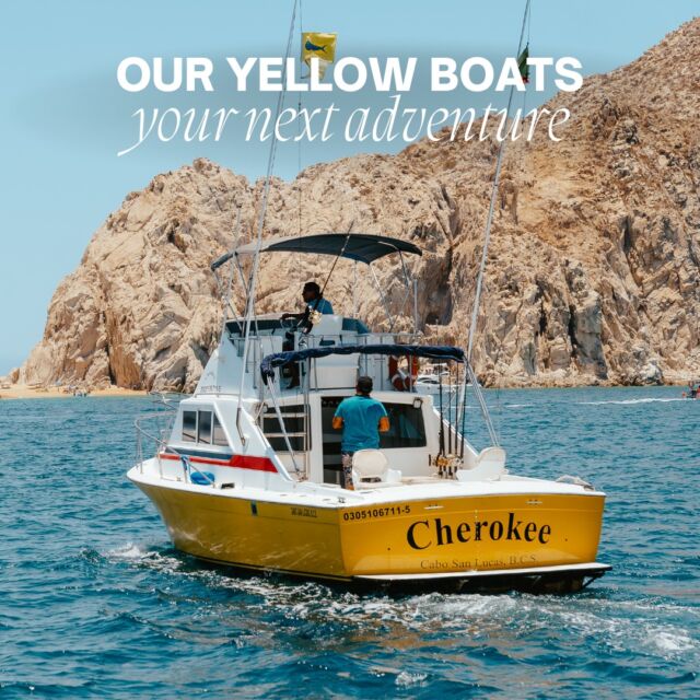Inicio - Silverados Sportfishing